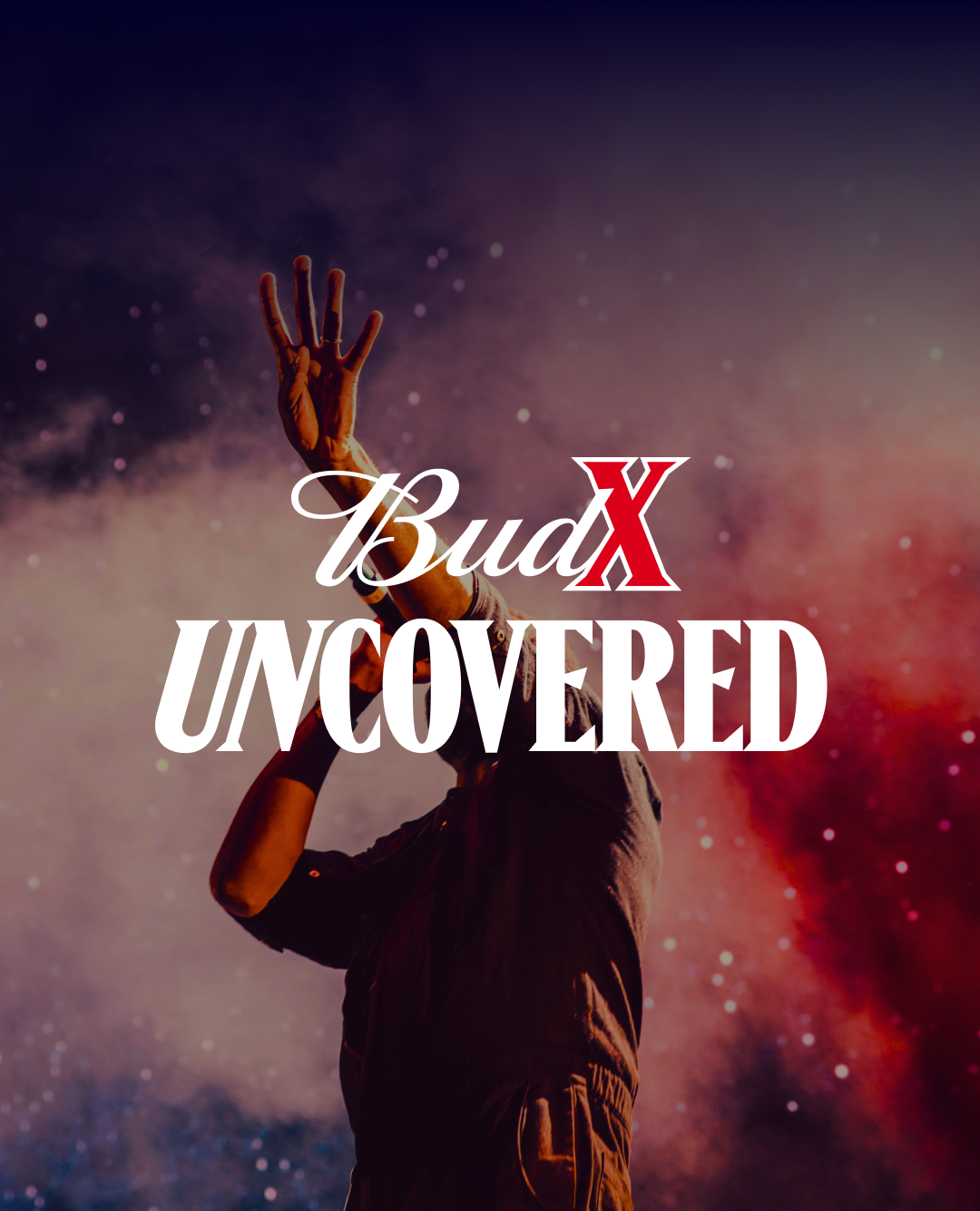 BudX | Budweiser American-Style Lager