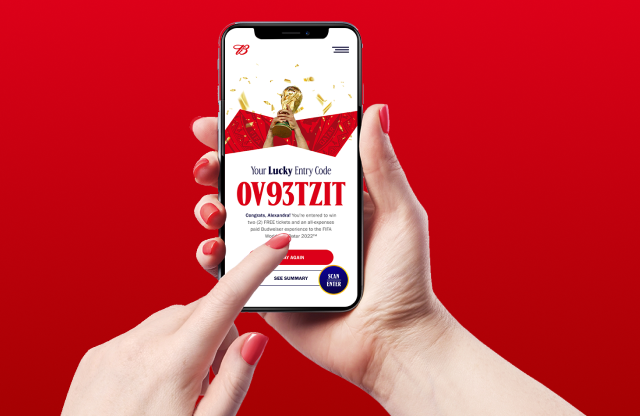 How it Works | Budweiser FWC22 NG