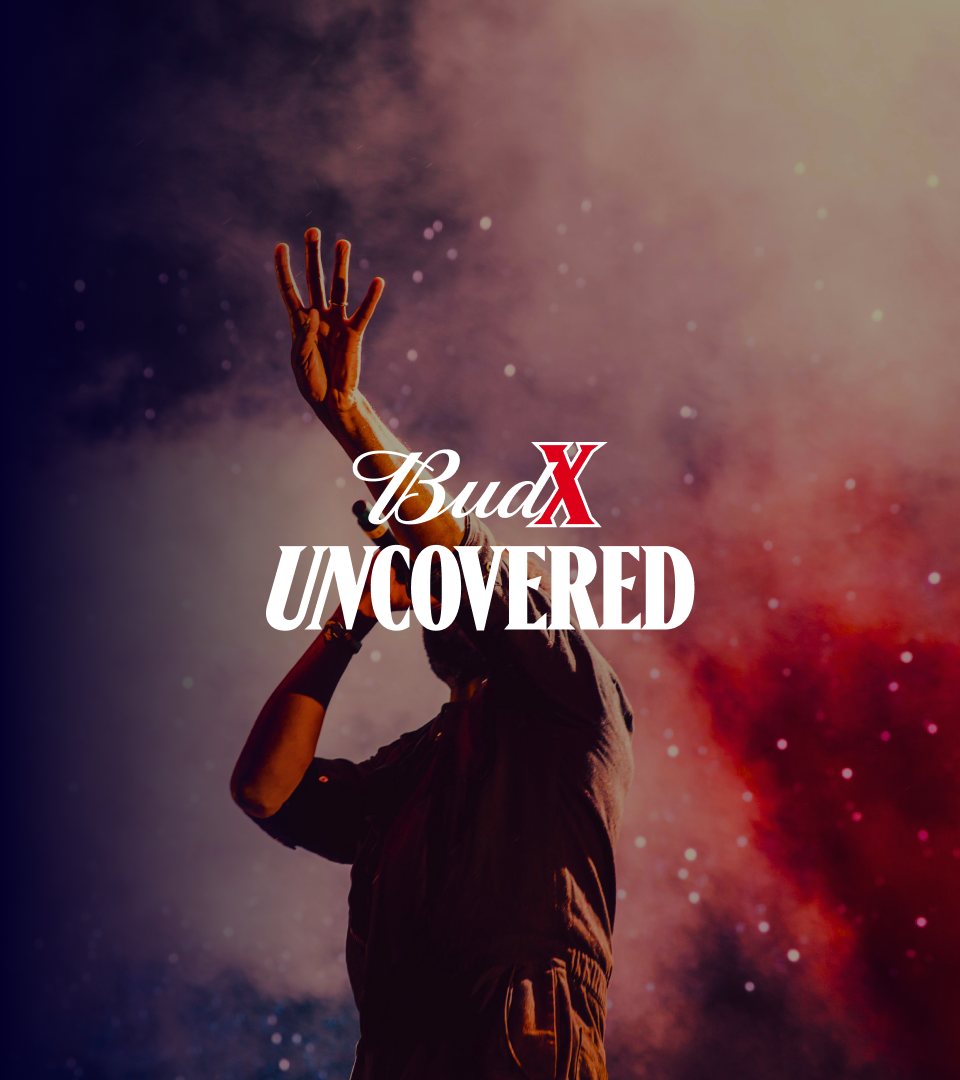 BudX | Budweiser American-Style Lager